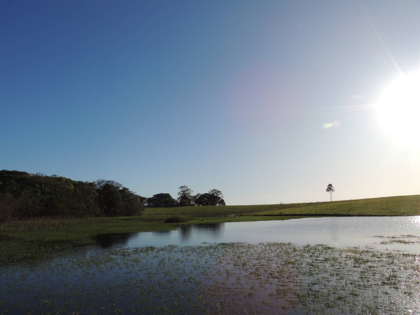 Propriedade com 85 hectares, situado a 2km da BR 116 em Tapes - 709